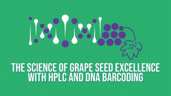 Decoding DNA Barcoding & HPLC’s Secrets Behind Grape Seed Goodness ...